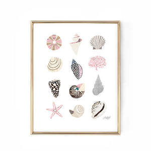 Seashell Collage - Art Print - Lindsey Kay Collective